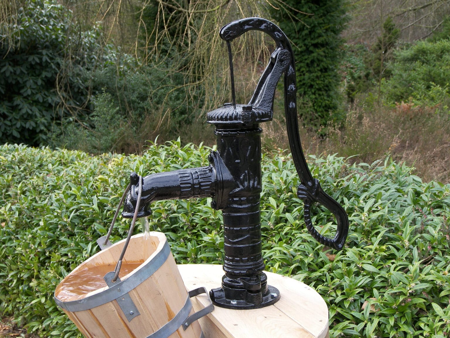 Waterpartij verhoogd met handpomp en dompelpomp - rondomton.nl