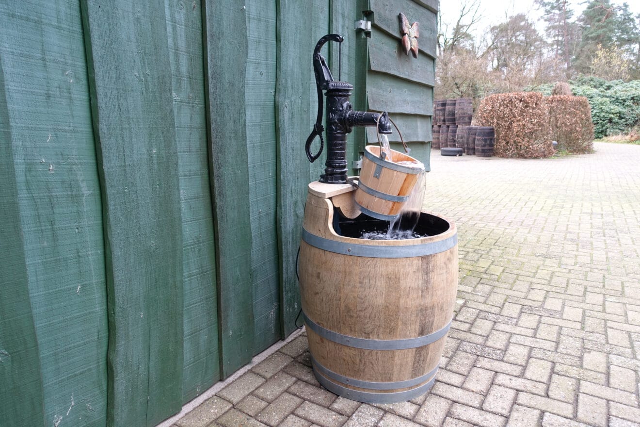 Waterpartij verhoogd met handpomp en dompelpomp - rondomton.nl