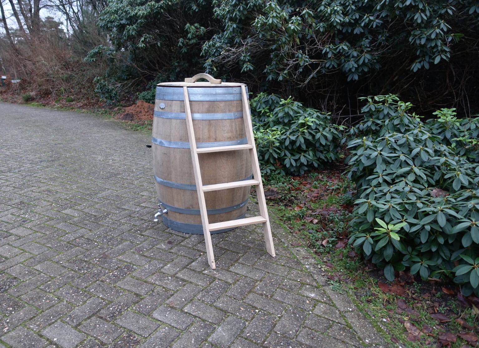 Dompelbad, dompelton (300L) met chromen kraan, zitting, en trapje ...